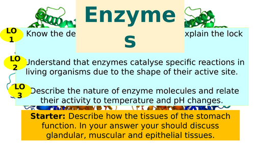 AQA GCSE Biology B2 Enzymes | Teaching Resources