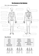 Label a blank skeleton (with key words) by burnsinwigan | Teaching ...