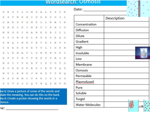 Osmosis Wordsearch Science Biology Starter Keywords Activity KS3 GCSE ...