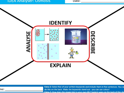Osmosis IDEA Analyser Science Biology Starter Keywords Activity KS3 ...