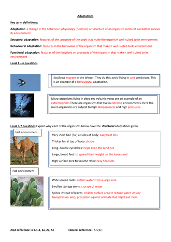 GCSE Biology Higher new spec Ecology Adaptation worksheet | Teaching ...