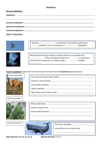 GCSE Biology Higher new spec Ecology Adaptation worksheet | Teaching ...