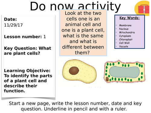 KS3 lesson on plant cells | Teaching Resources