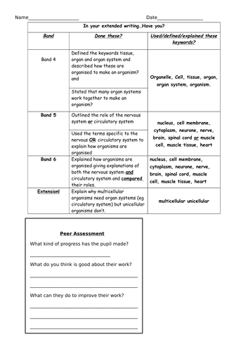 KS3 lesson on Organ Systems | Teaching Resources
