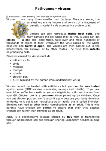 KS3 lesson on Microbes | Teaching Resources