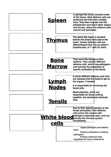 KS3 lesson on the Immune System | Teaching Resources