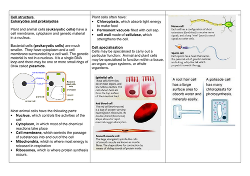 AQA 9-1 GCSE Biology Paper One - Knowledge Organiser Cell Biology ...