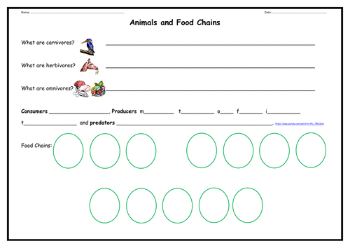 Habitats and Food Chains - PowerPoint + Activity | Teaching Resources