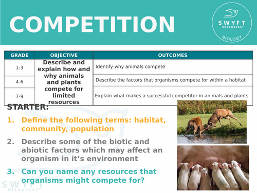 NEW AQA GCSE Trilogy (2016) Biology – Competition | Teaching Resources