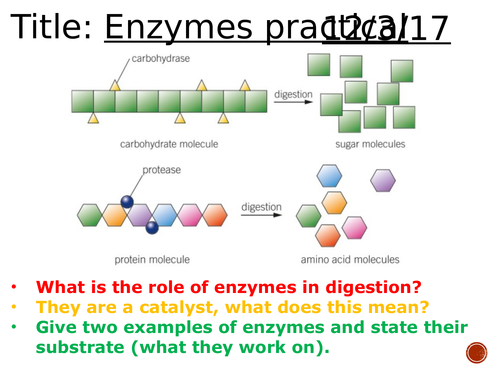 Investigating enzymes - complete lesson (KS3) | Teaching Resources