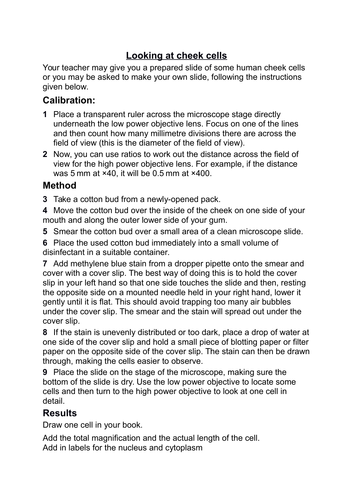 The world of the microscope - complete lesson (GCSE 1-9) | Teaching ...