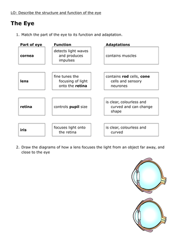 The Eye for GCSE Biology | Teaching Resources
