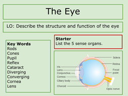 The Eye for GCSE Biology | Teaching Resources