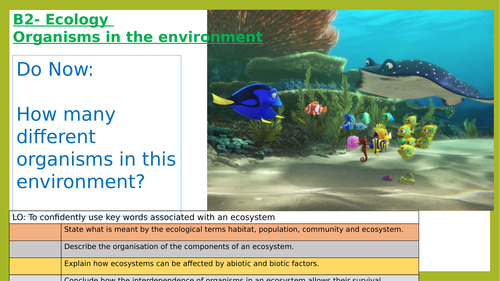 Ecosystems (OFSTED Lesson Observation) Themed on Finding Nemo ...