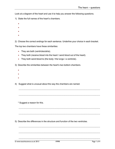 Structure and Function of the Heart | Teaching Resources