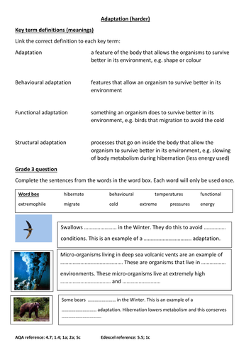 GCSE Ecology new spec for Foundation: Adaptation | Teaching Resources