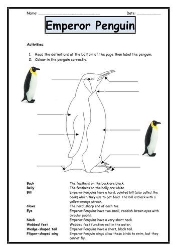 Exploring Antarctica + Emperor Penguins | Teaching Resources