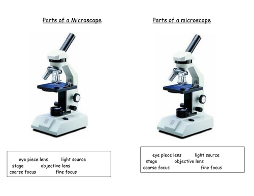 KS3 Unit 7A Biology - Microscope lesson (Lesson 7Ac: Tissues) | Teaching Resources