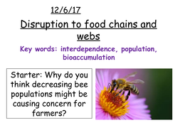 Year 7 Disruption to food chains and webs | Teaching Resources