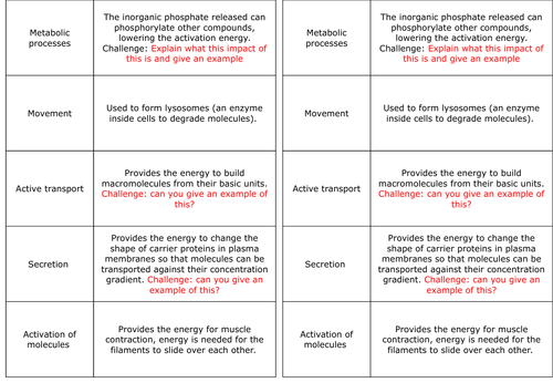 AQA A level Biology- Biological molecules bundle | Teaching Resources