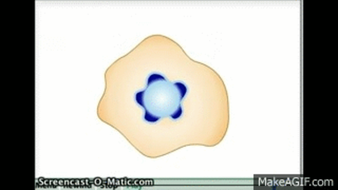 Regulating gene expression - complete lesson (A2) | Teaching Resources
