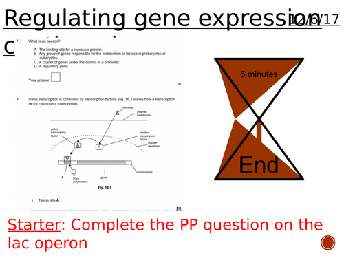 Regulating gene expression - complete lesson (A2) | Teaching Resources