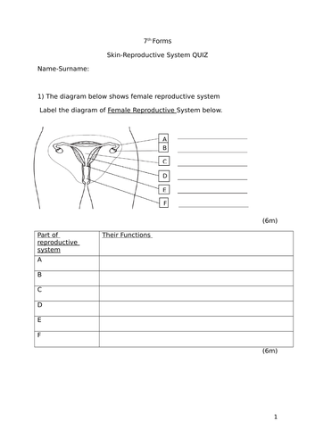 Grade 7 Reproductive System Quiz | Teaching Resources