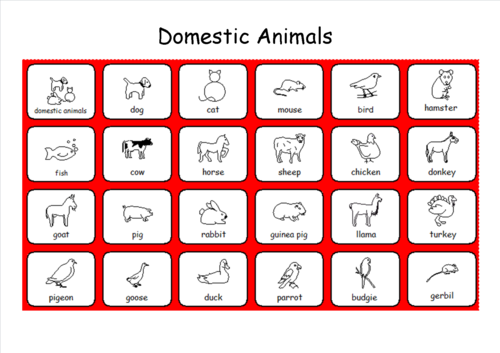 Animals - Domestic, Wild, Sea Life - 4 symbol grids - SEN and Lower ...