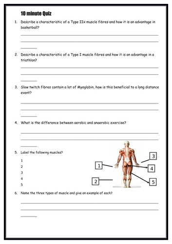 10 minute quiz - Starter Task - Muscles - GCSE PE - Edexcel | Teaching ...