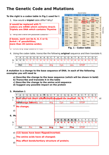 Mutations and effect on Protein Structure - AQA A2 Biology 3.8 ...
