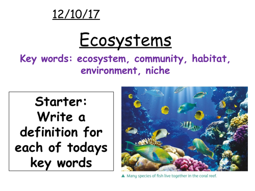 Year 7 Ecosystems (AQA Activate Science) | Teaching Resources