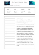 Blue Planet 2, Episode 6 Coasts - Activity Book and Answer Sheets ...