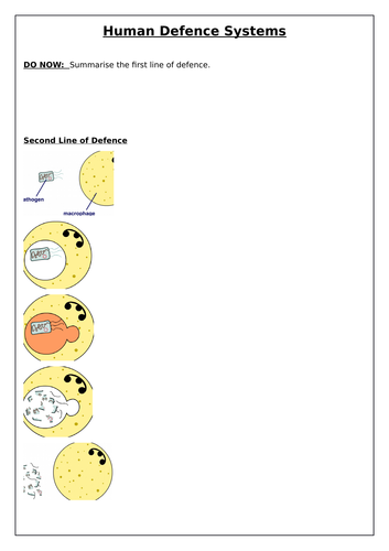 Human Defence Systems AQA Biology 9-1 | Teaching Resources