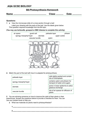 AQA new specification-B8 Photosynthesis-Complete bundle | Teaching ...