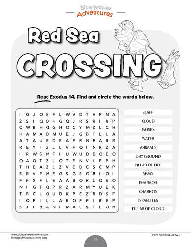 Miracles of the Bible Activity Book | Teaching Resources