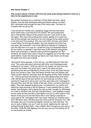 AQA GCSE English Language Paper 1 sample questions | Teaching Resources