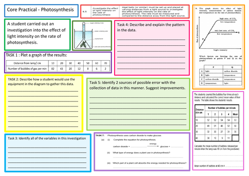 EDEXCEL CB6 CORE PRACTICAL WORK/REVISION SHEET/MAT FOR LIGHT INTENSITY ...