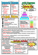 BTEC Sport Level 2 Unit 1 Revision poster (plus some translated ...