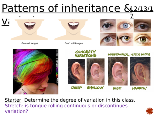 Inheritance and variation - complete lesson (A2) | Teaching Resources