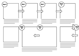 Development of a fetus KS3 Lesson | Teaching Resources