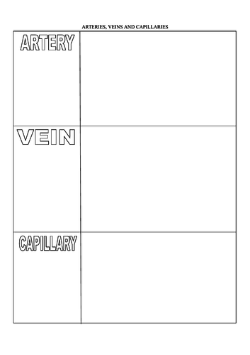 Arteries, Veins and Capillaries | Teaching Resources