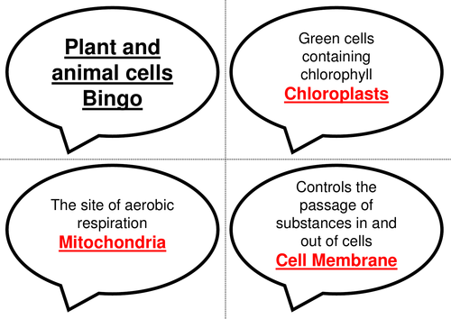 Biology Bingo: Animal and Plant Cells | Teaching Resources