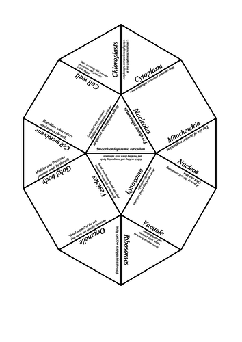 Biology Tarsia Puzzle and Game: Cell Structure and function | Teaching ...