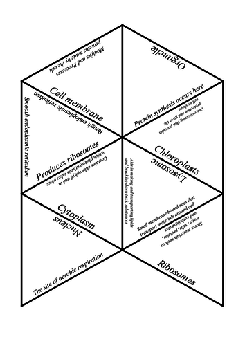Biology Tarsia Puzzle and Game: Cell Structure and function | Teaching ...
