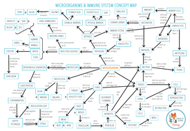 Microbes and Immunity - Concept map (KS3/4) | Teaching Resources