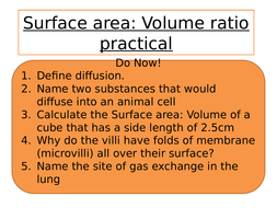 Exchange and Transport.Practical investigating how surface area:Volume affects diffusion ...