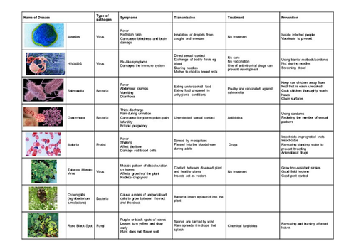 New 9-1 Biology GCSE B5 Viral, Bacterial, Fungal Infections | Teaching ...