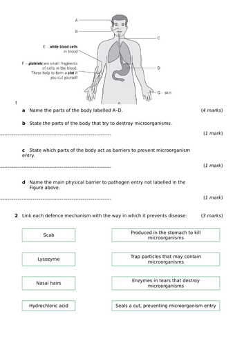 New Biology GCSE B5 Human Defence Responses | Teaching Resources