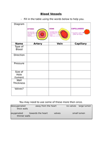 The heart and blood vessels OCR B2.2d AQA 4.2.2.2 | Teaching Resources