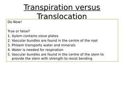 Transpiration versus translocation whole lesson OCR B2.2g/AQA 4.2.3.2 ...